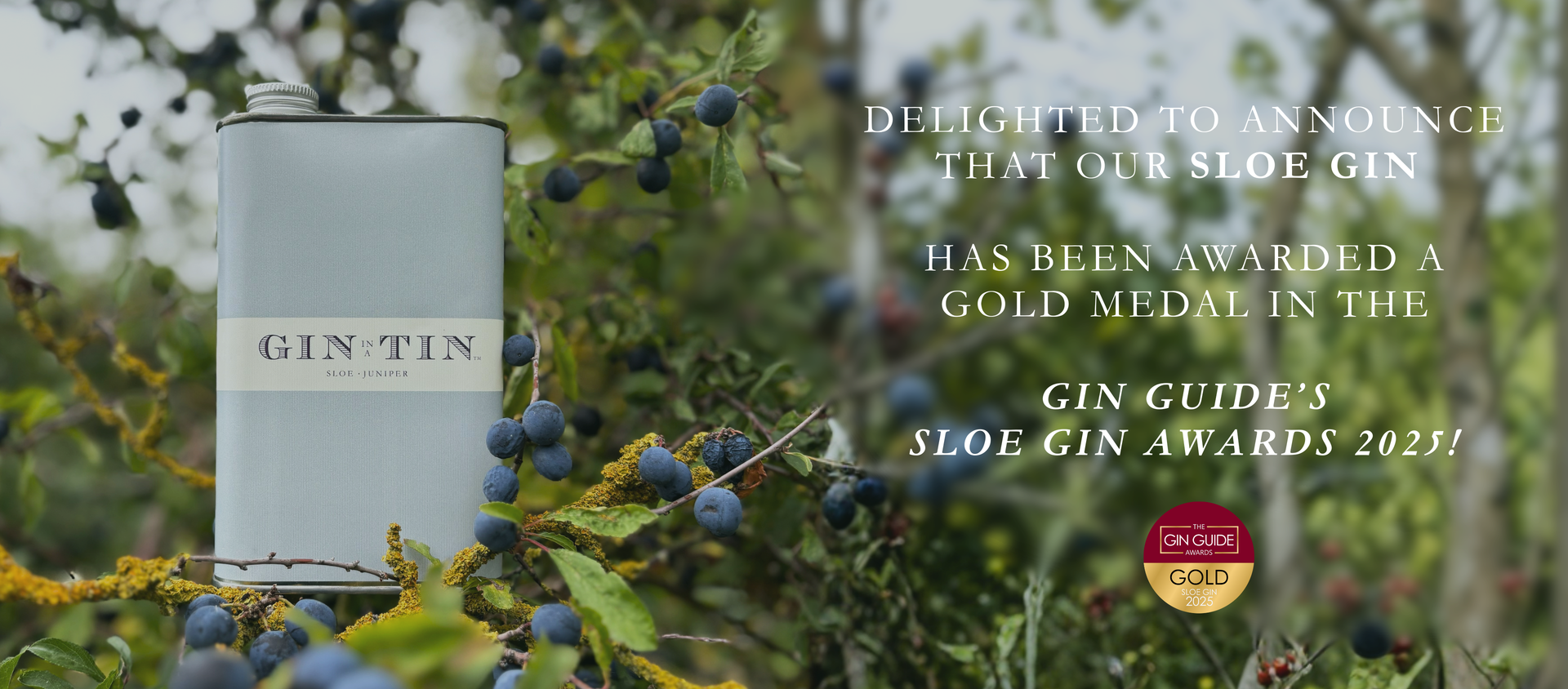 Gin In A Tin